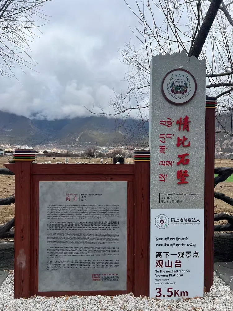 雅鲁藏布大峡谷景区介绍｜游玩攻略 景点门票交通全指南 - 西藏景点 - 趣旅行